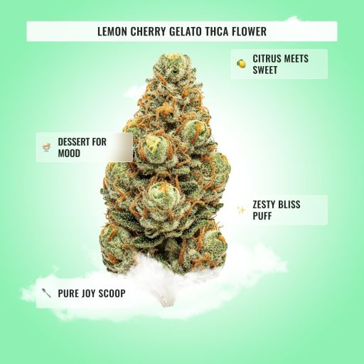 Fresh THCa Flower Bundle