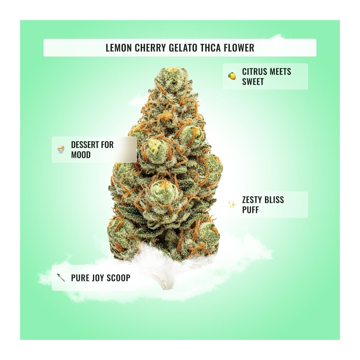 Fresh THCa Flower Bundle